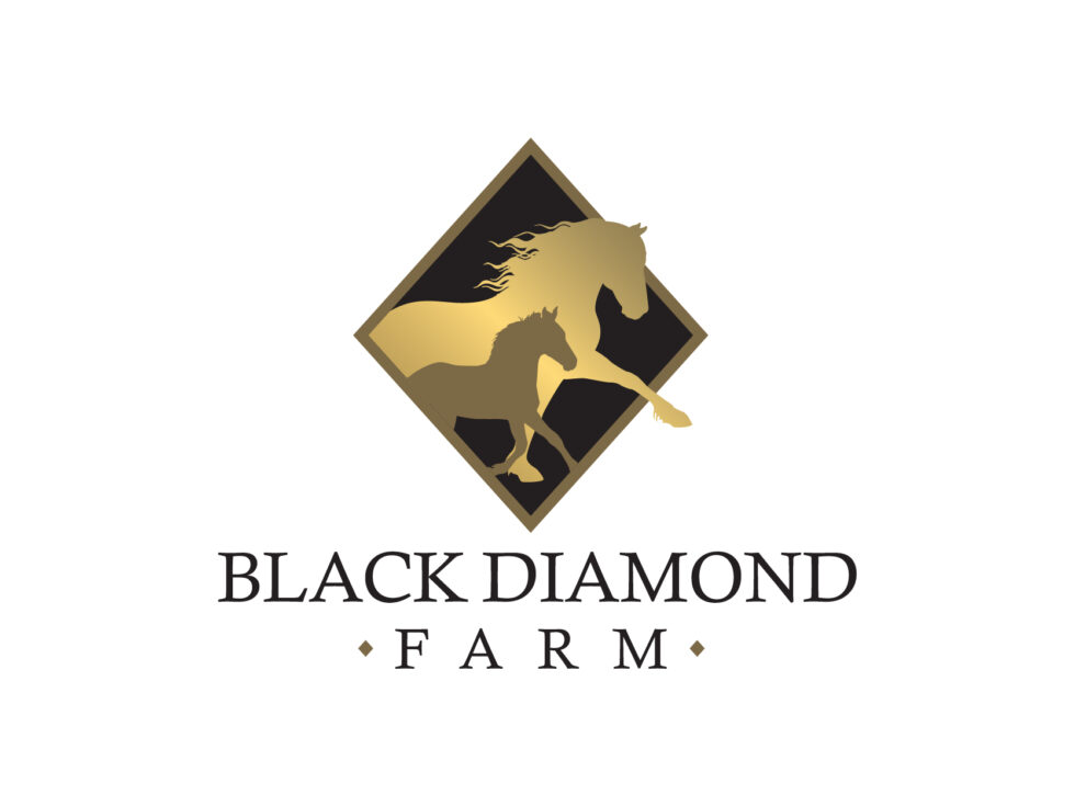 Black Diamond Farm - Flying Horse Design Studio